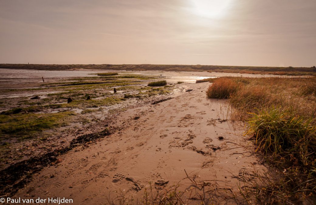 Uitzicht op de Waddenzee — Pauls fotogalerij